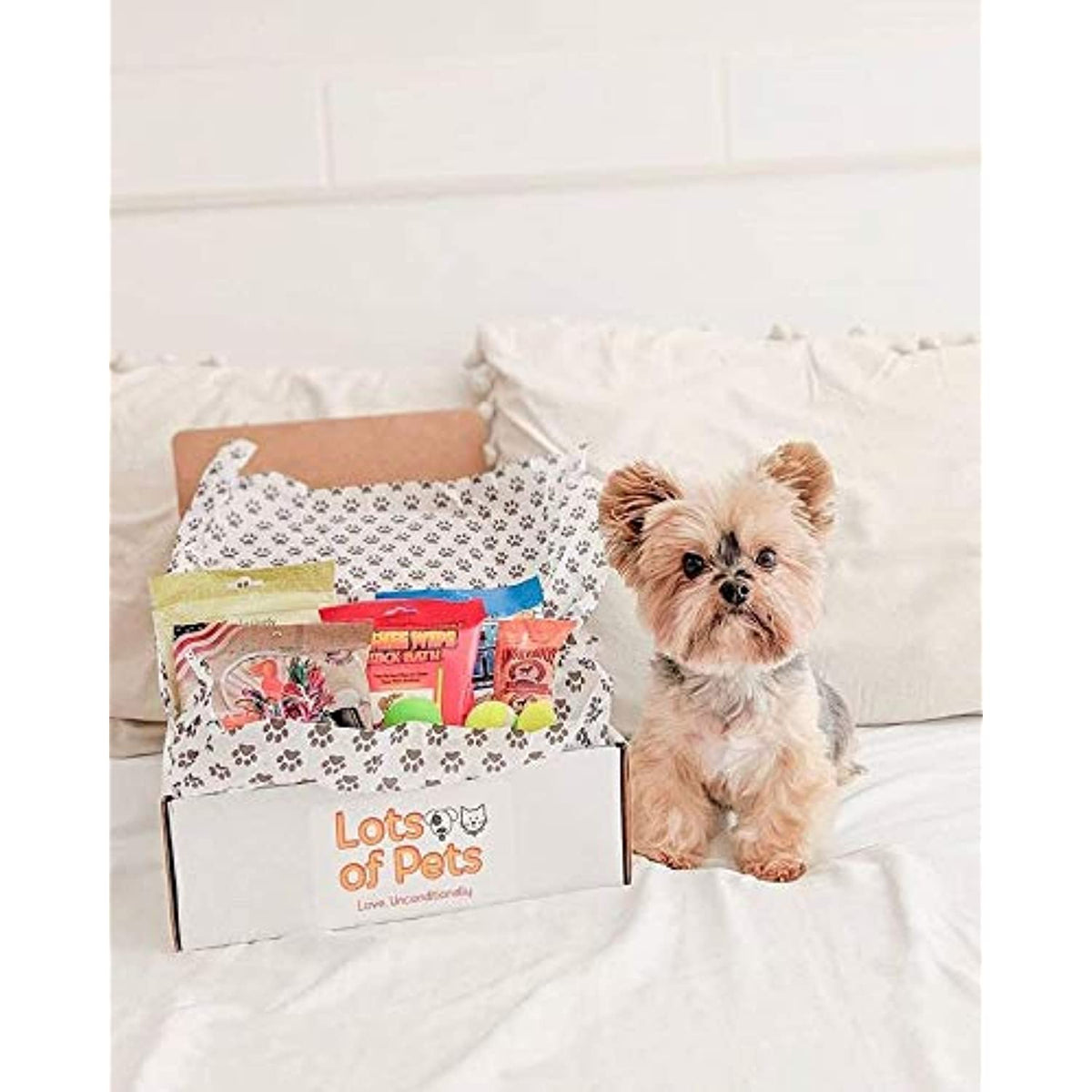 Lots of Pets Dog Party Box Teenie Meenie Dog (Small Dogs) Under 20 lbs ...